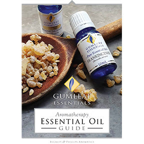 Essential Oils Guide – Queen B