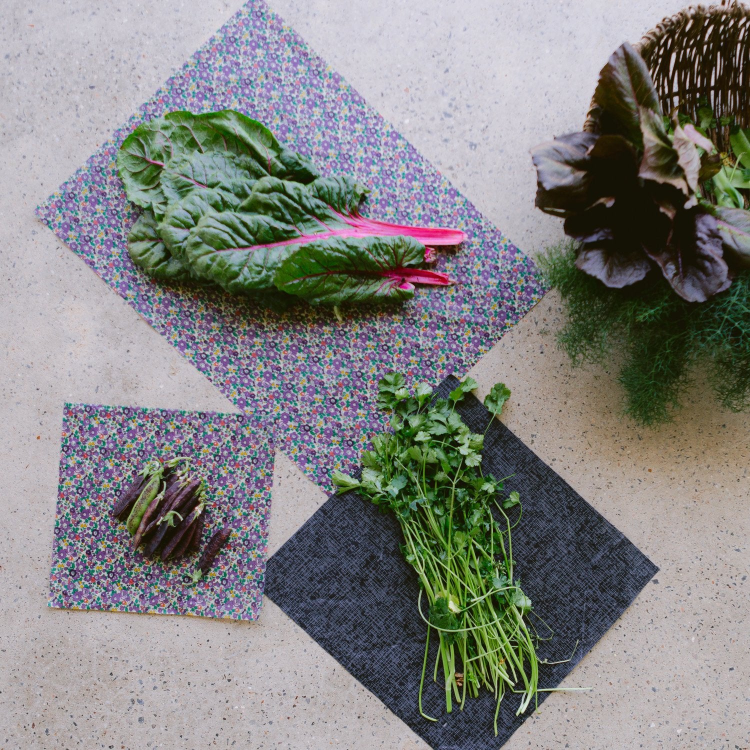 Assorted Size Beeswax Wraps – Queen B